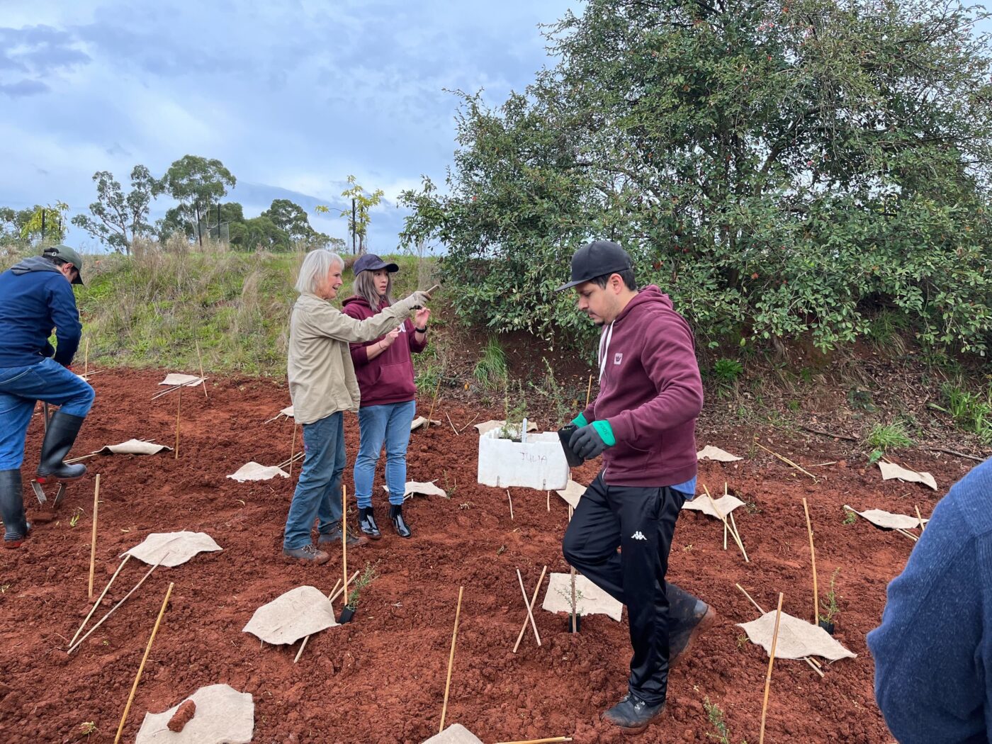 Our Community Impact: Tree Planting | MyConnect